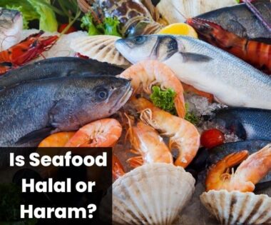 Is Prawns Halal or Haram In Islam? - Lesson Islam