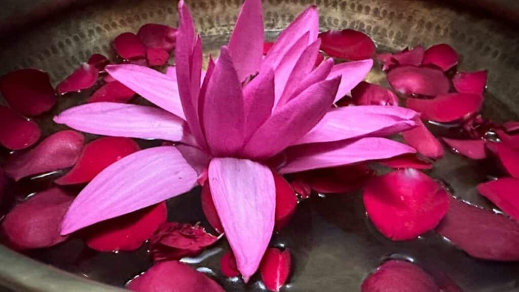 Powerful Islamic Duas for Healing from Illness: Quranic Verses & Hadith ...
